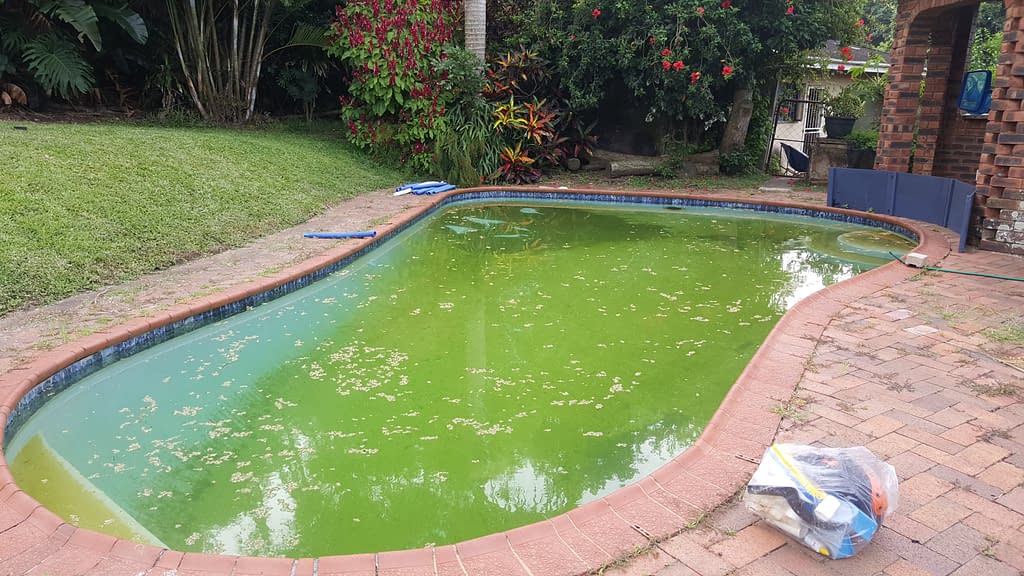 Aqua Sparkle Pool Services – We Make Pools Sparkle